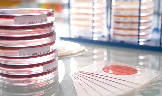 Petrifilm® Plates | Plates for Quality Indicator Testing