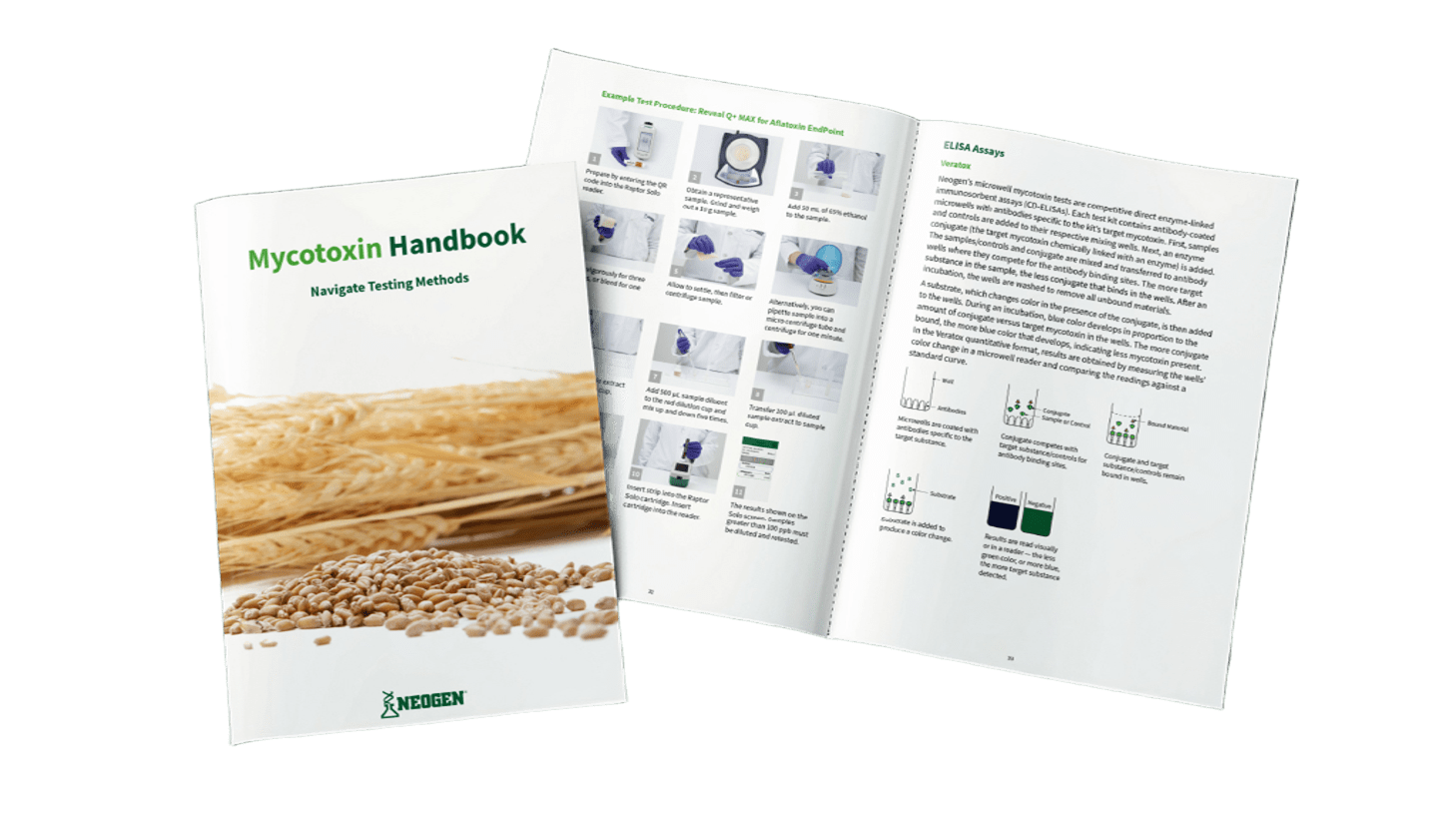Mycotoxins | Your All-Inclusive Supplier for Mycotoxin Solutions