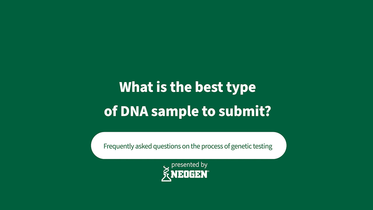 What is the Best Type of DNA Sample to Submit for Cattle Genomics Testing