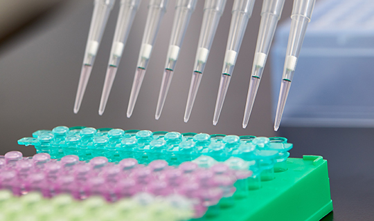 Neogen® Molecular Detection: QuanTEM Food Safety Laboratories