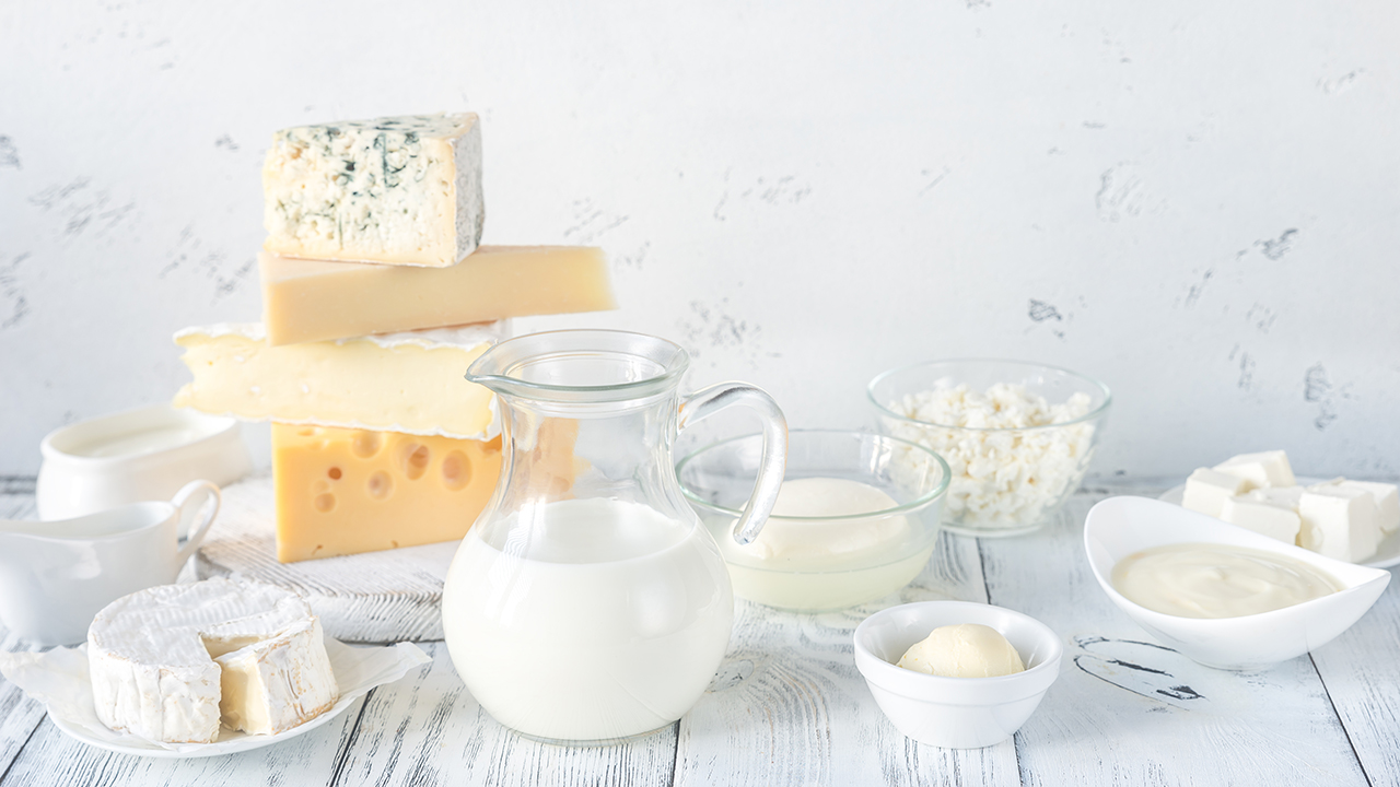 Lactic Acid Bacteria: Key in Food Production and Preservation | Neogen