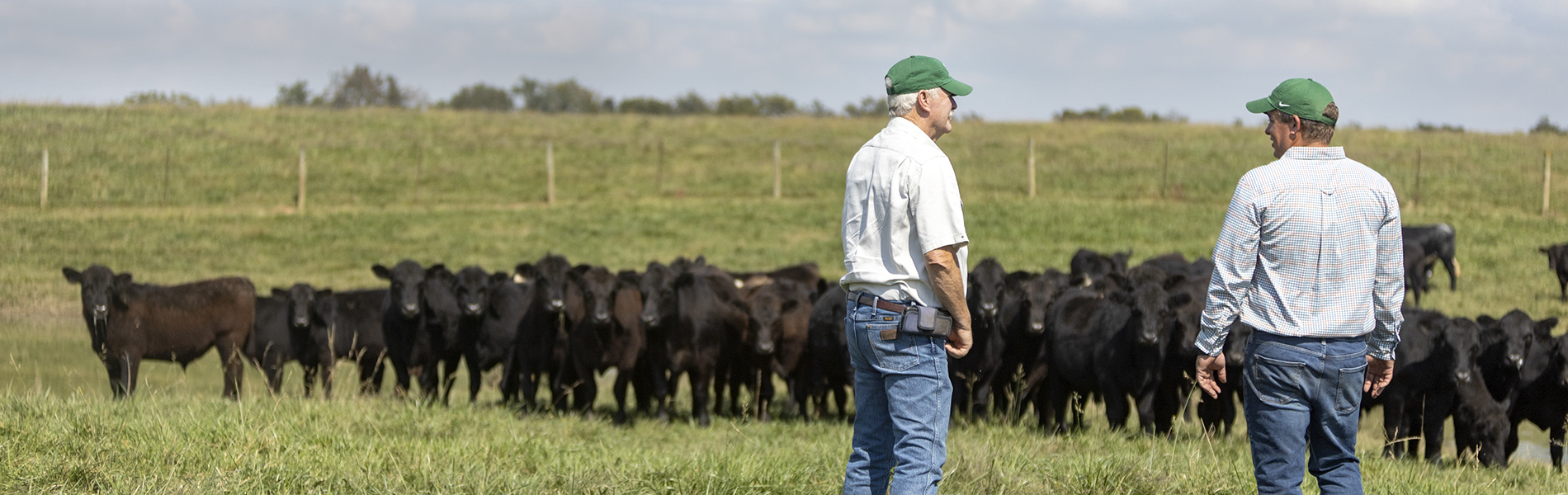 Igenity® Cattle Genomics | Neogen