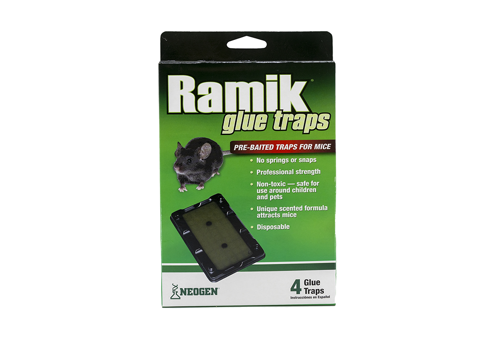 Ramik® Glue Traps | Rodent Bait Stations & Traps | Neogen