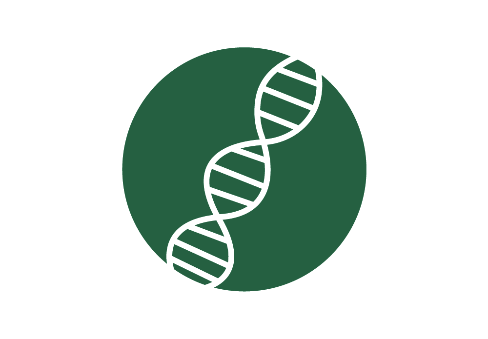Igenity Dairy Recessive Traits | Genomics | Neogen