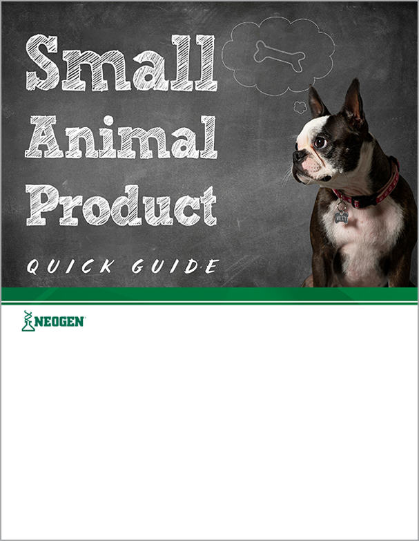 Digital Catalogs