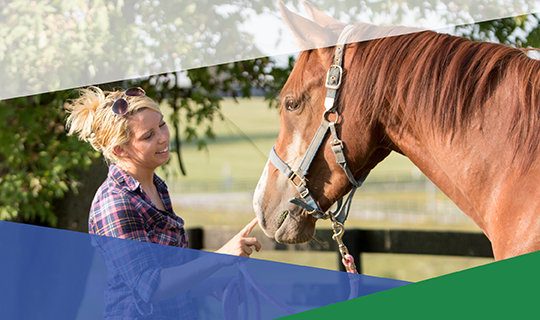 Prozap® | Insect Control Solutions
