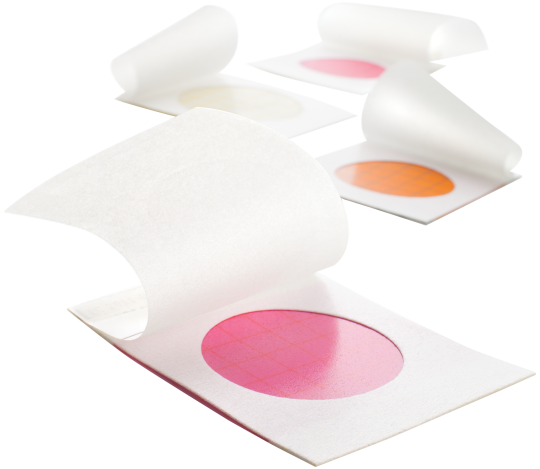 Transforming Food Safety Testing: Petri Dishes, Agar Plates, and ...