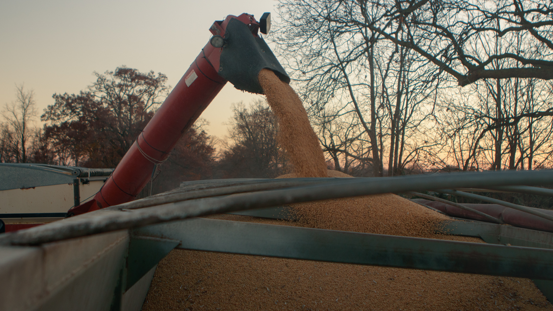 Milling & Grain | Mycotoxin Solutions To Support You