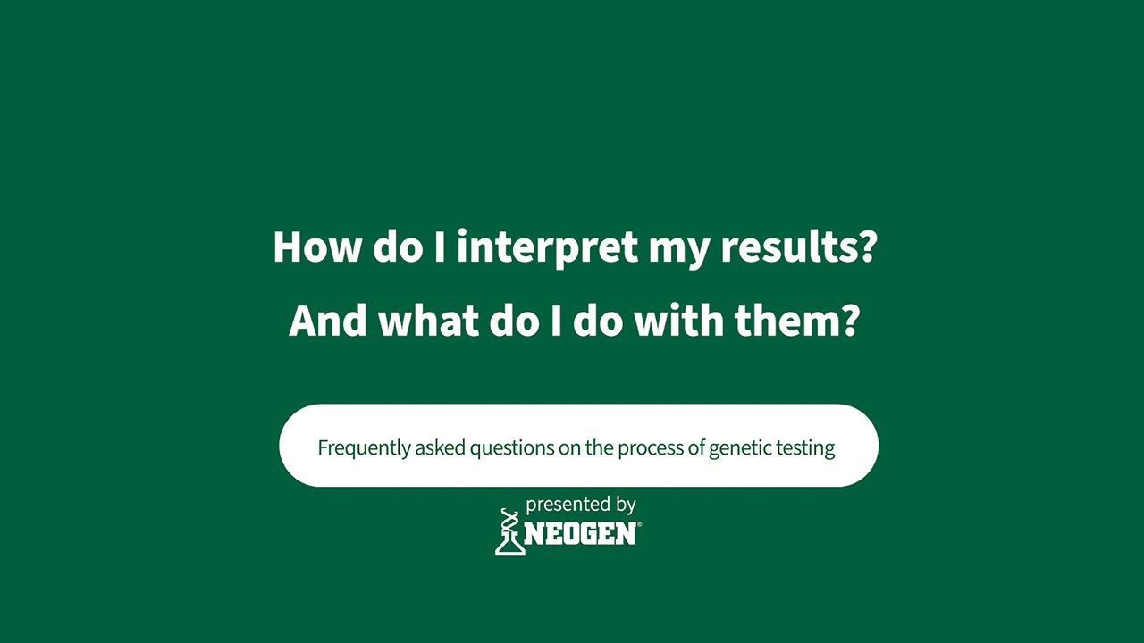 How Do I Interpret My Cattle Genomic Testing Results and What Do I Do ...
