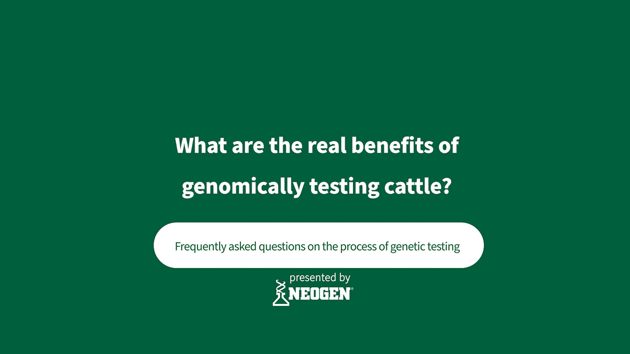 What are the Real Benefits of Genomically Testing Cattle?